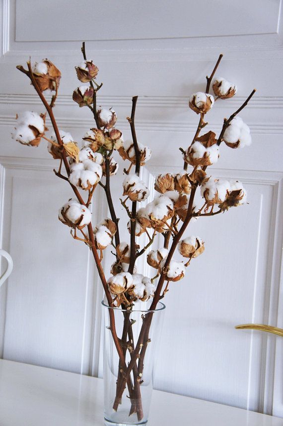 Dried Natural Cotton Stalks – ROUGE ‘N’ LOVE
